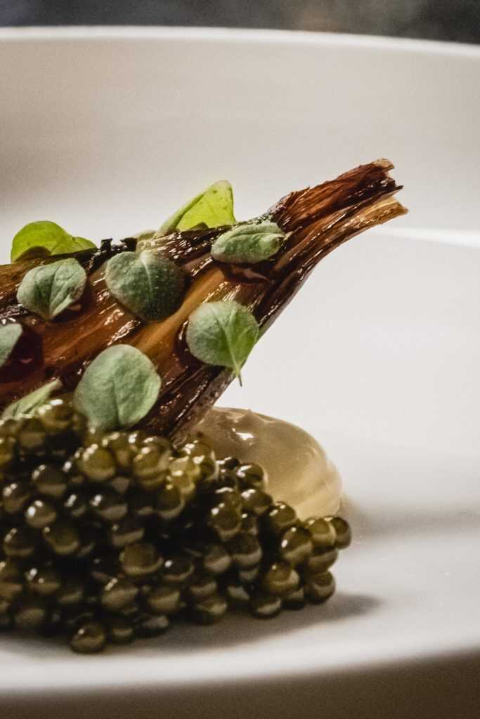 All the Michelin Star Restaurants in Reykjavík and Iceland – 2026 Edition